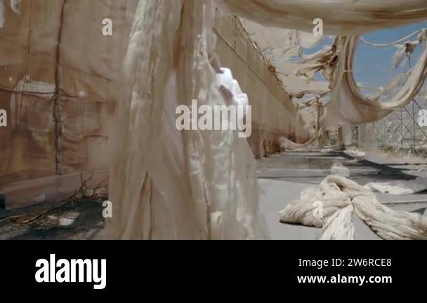 Female Agronomist Scientist in hazmat outfit walking through the ...