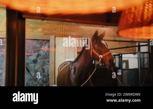View through barn window Stock Videos & Footage - HD and 4K Video Clips ...