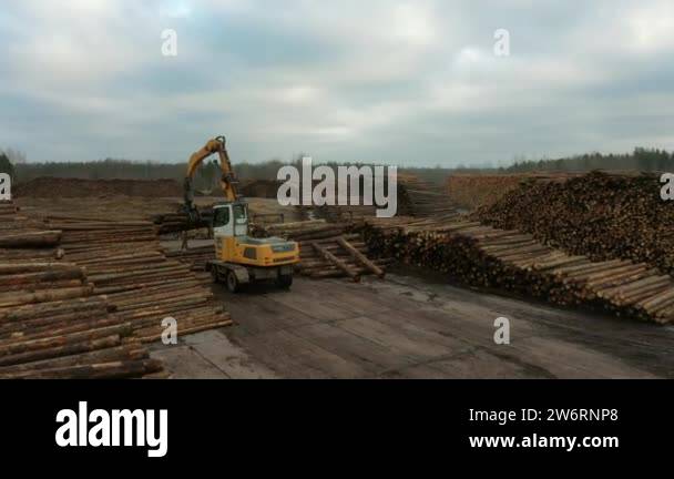 A logging machine transports logs to a stack. Loader of logs at the ...