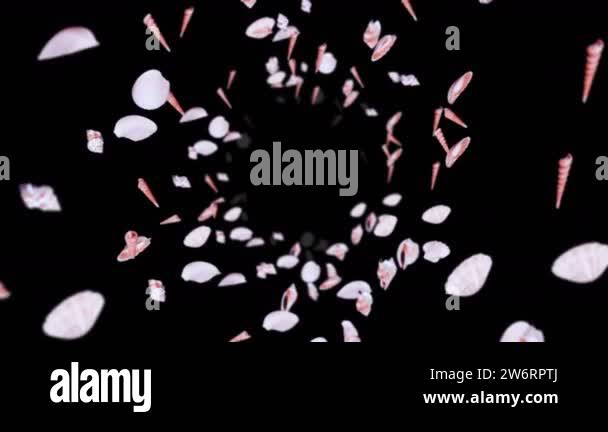 Flying many sea shells on black background. Collection of realistic ...