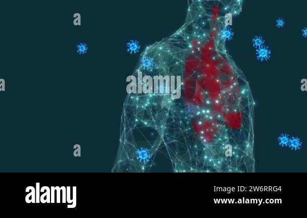 Low poly animation of body rotation with cranes and lungs from dots and ...