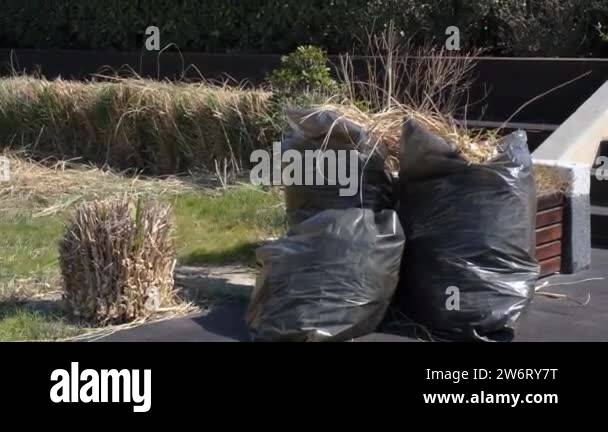 Bags and bags Stock Videos & Footage - HD and 4K Video Clips - Alamy