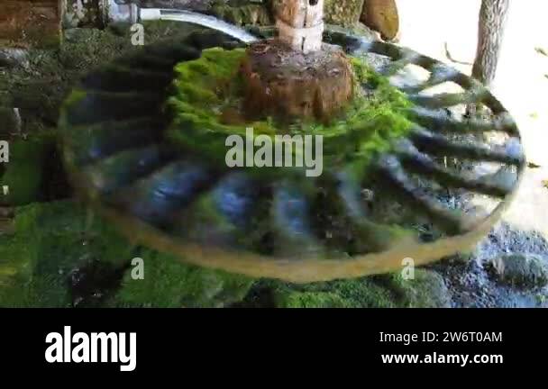 Old water mill. Mill wheel movement. HD video. Splashes and streams of ...