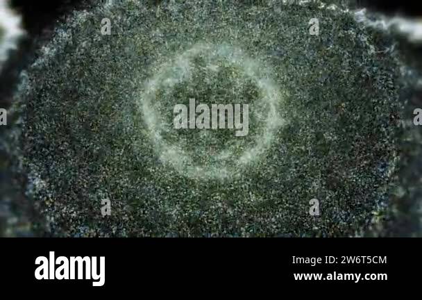 Abstract cloud of green and white particles transforming into a spiral ...