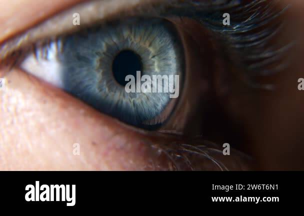 Close up Open Blue Female Eyes. Human Pupil Cornea Iris Eyeball ...