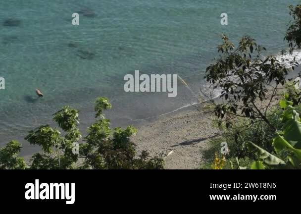 Naturist on the beach Stock Videos & Footage - HD and 4K Video Clips ...
