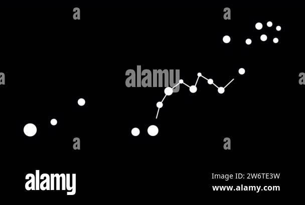 White hydra Stock Videos & Footage - HD and 4K Video Clips - Alamy