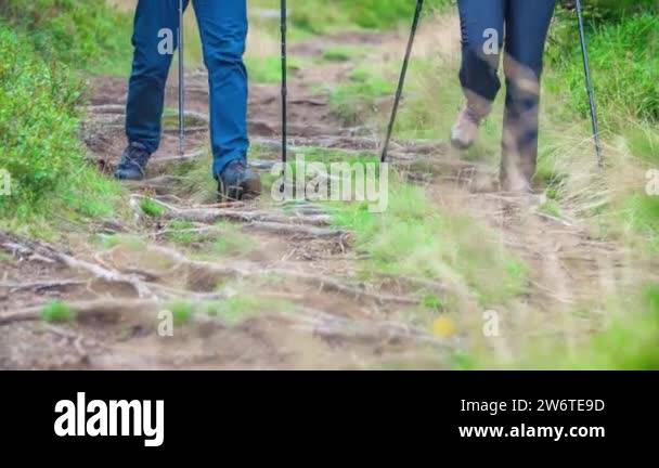 Walk legs group trail Stock Videos & Footage - HD and 4K Video Clips ...