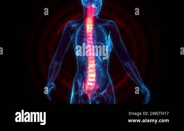 cg medicine 3D animation, backbone on x-ray scan of body Stock Video ...