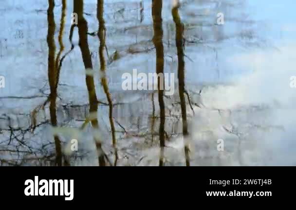 Lake water ripple with trees Stock Videos & Footage - HD and 4K Video ...