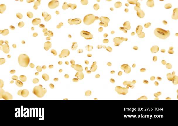 Flying many soybeans on white background. Light brown grains. Soya bean ...