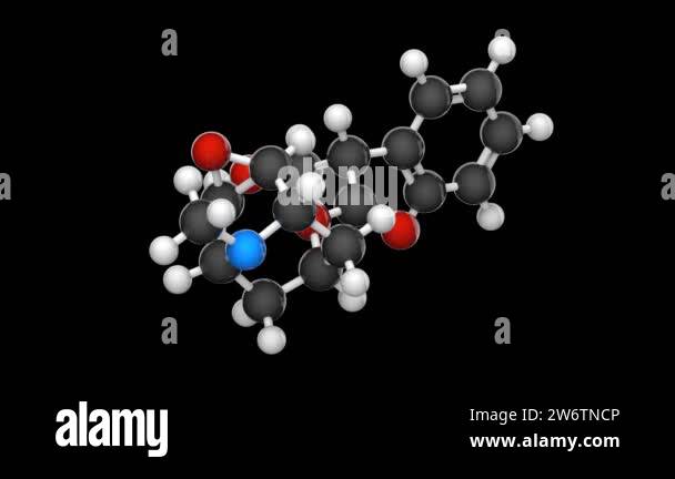 Scopolamine, also known as Hyoscine, is a medication used to treat ...