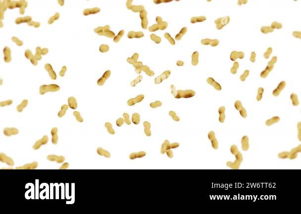 Flying many peanuts on white background. Raw peanuts. Groundnuts in ...