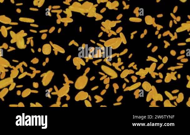 Flying many Koban coins on black background. Japanese oval golden coin ...