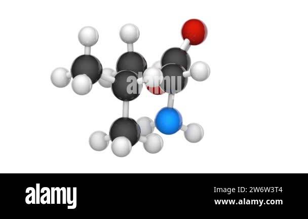 Leucine (symbol Leu or L) is an essential amino acid that is used in ...