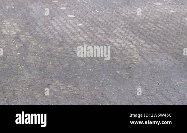 Many falling hailstones on windy day with frost and rain show extreme ...