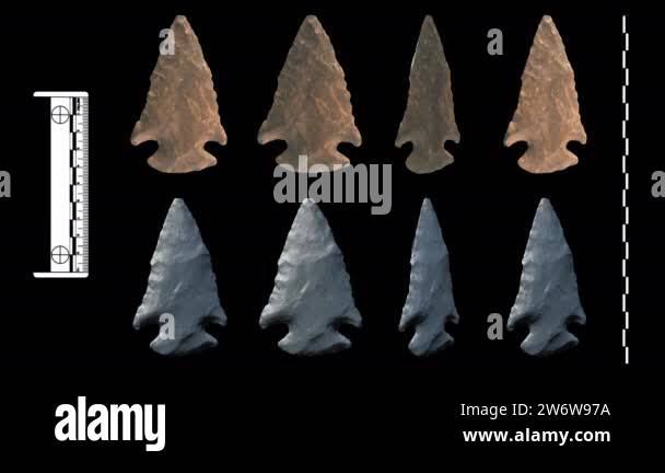 Paleolithic artifacts animation 3d model animation Stock Video Footage ...