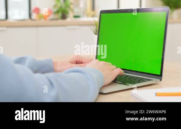 Back view of man typing hand on keyboard laptop green screen chromakey ...