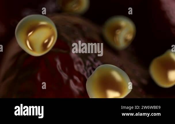 Pollen electron microscope Stock Videos & Footage - HD and 4K Video ...