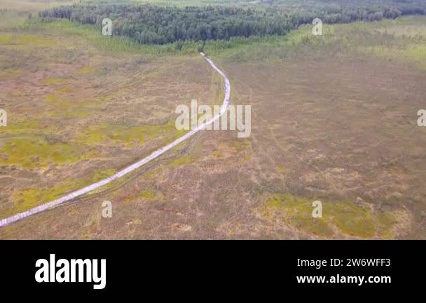 Log walkway Stock Videos & Footage - HD and 4K Video Clips - Alamy