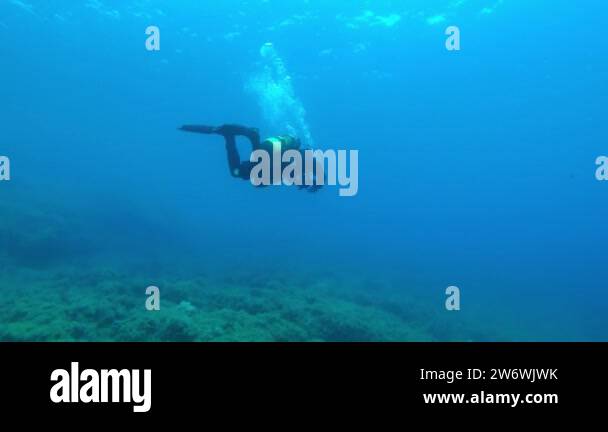 Shallow water diver Stock Videos & Footage - HD and 4K Video Clips - Alamy