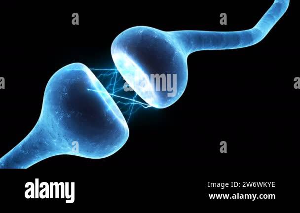 Neuron synapse anatomy Stock Videos & Footage - HD and 4K Video Clips ...