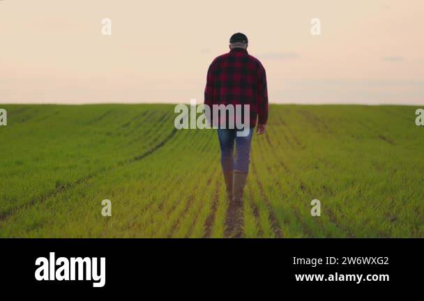 Senor a male farmer goes to the field during a drought inspecting the ...