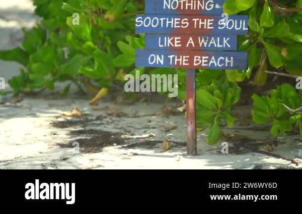 Beach sign and palms in sunny tropical island in Indian ocean. Maldives ...
