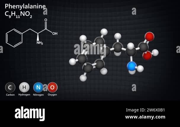 Phenylalanine (symbol Phe or F) is an essential amino acid with the ...
