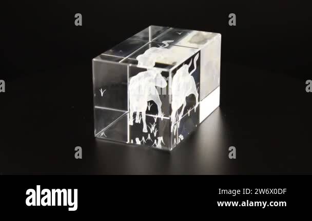 Bull glass Stock Videos & Footage - HD and 4K Video Clips - Alamy