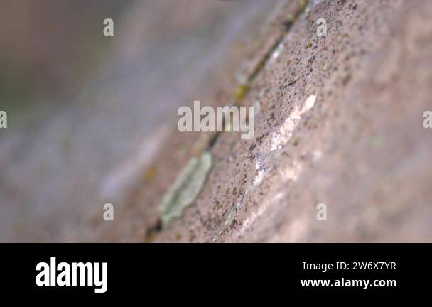 Ancient man cave painting and writing historic inscription graffiti on ...