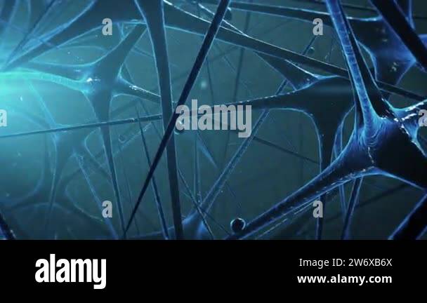 Axon neuron anatomy model Stock Videos & Footage - HD and 4K Video ...