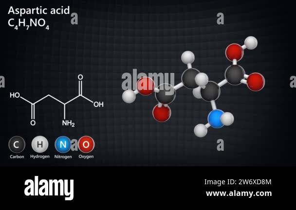 Aspartic acid (symbol Asp or D), is an amino acid that is used in the ...