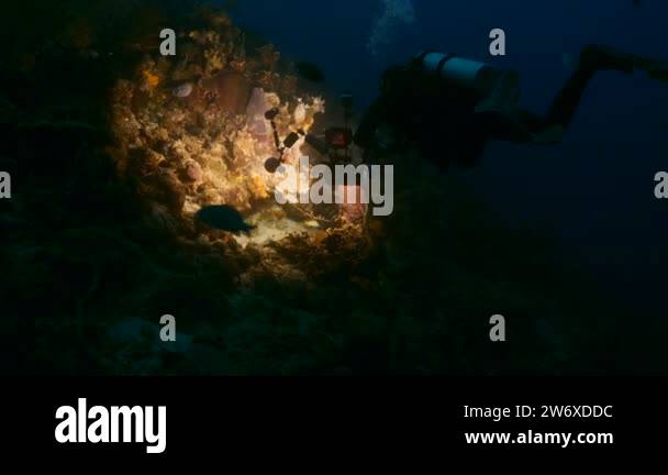 Professional diver, underwater photographer filming at night in coral ...