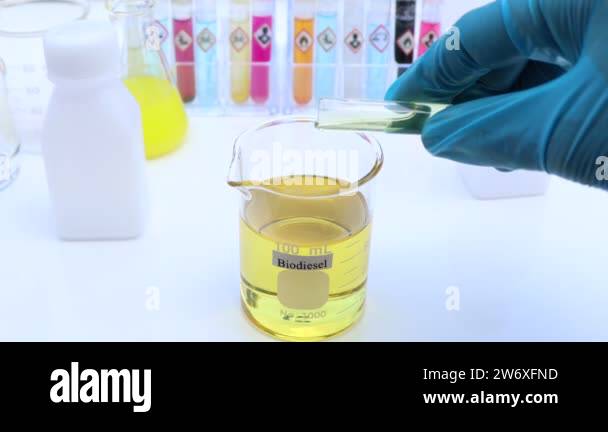 Biodiesel experiments from natural raw materials in the laboratory and ...
