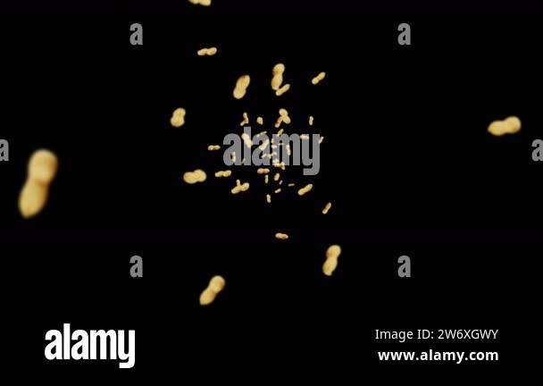 Flying many peanuts on black background. Raw peanuts. Groundnuts in ...