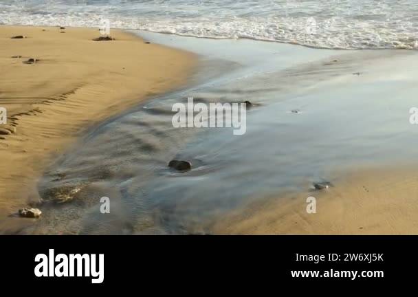 Toxic liquid discharges and tar pollution on sea ecosystem,environment ...