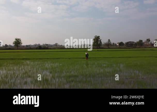 Sprinkle fertilizer Stock Videos & Footage - HD and 4K Video Clips - Alamy