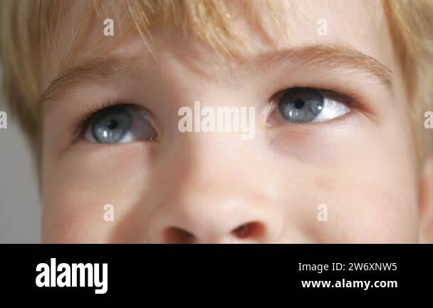 Close-up Child Blue Eyes Kid Boy Face. Pupil Cornea Iris Eyeball ...