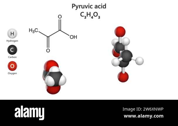 Pyruvic acid (C3H4O3) is an intermediate compound in the metabolism of ...