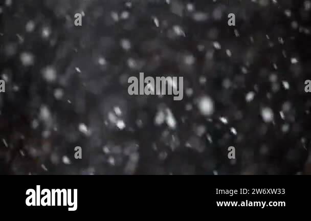 Snow falls from tree Stock Videos & Footage - HD and 4K Video Clips - Alamy