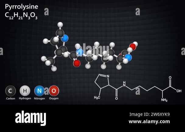 Pyrrolysine (symbol Pyl or O) is an organic compound with chemical ...