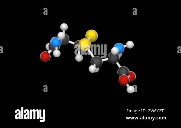 Chemical structural formula and model of cystine. Non-standard amino ...