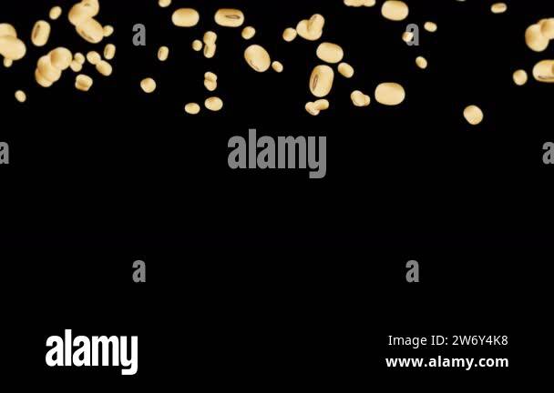 Flying many soybeans on black background. Light brown grains. Soya bean ...