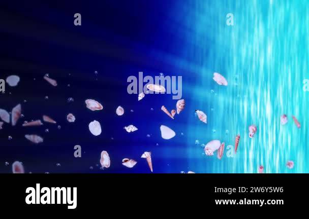 Flying many sea shells in blue water. Collection of realistic shellfish ...