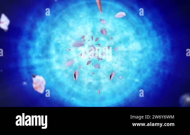 Flying many sea shells in blue water. Collection of realistic shellfish ...