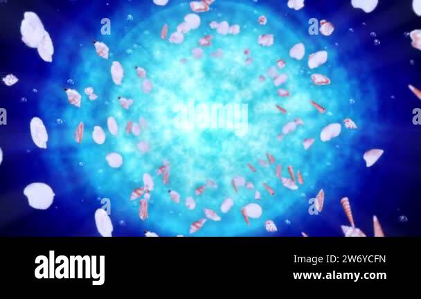 Flying many sea shells in blue water. Collection of realistic shellfish ...