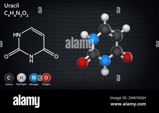 Uracil. Nitrogenous base molecular structure (DNA and RNA parts). Formula: C4H4N2O2. 3D render ...