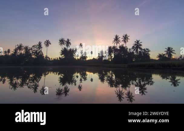 Ray row Stock Videos & Footage - HD and 4K Video Clips - Alamy