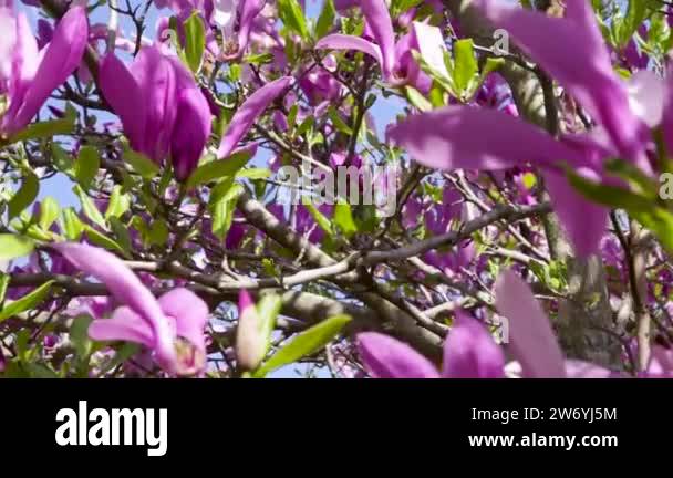 Dynamic low angle view Stock Videos & Footage - HD and 4K Video Clips ...